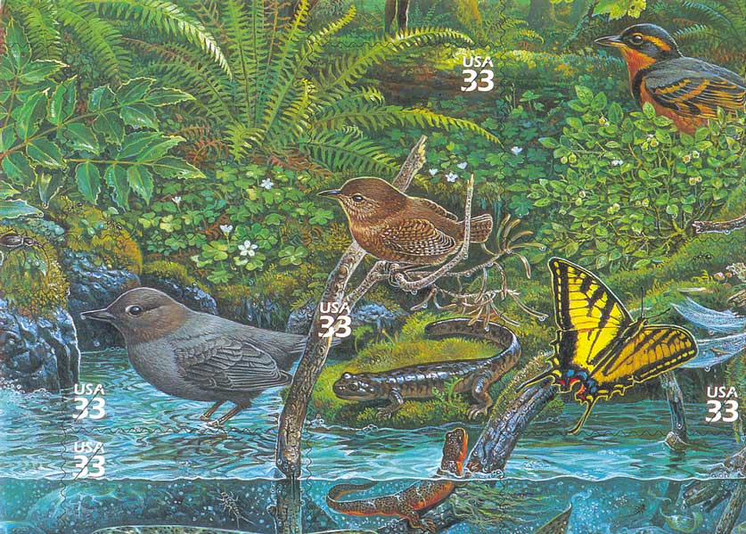 POSTCARDY: the postcard explorer: Pacific Coast Rain Forest Stamps