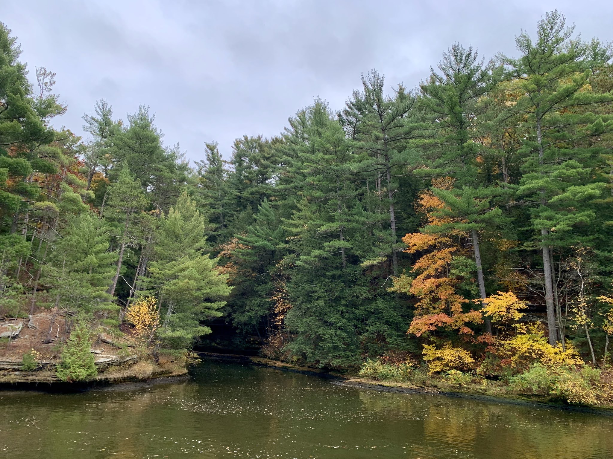 Amy's Creative Pursuits: A Fall Ride On The Upper Dells Boat Tour