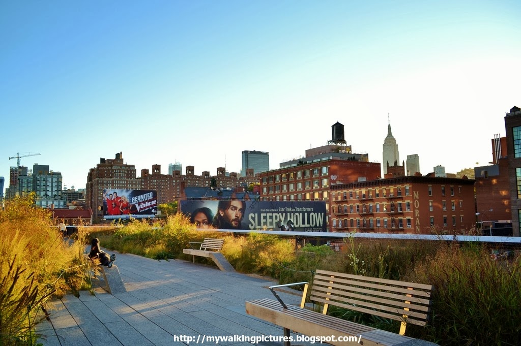 My Walking Pictures: Early Morning at The High Line