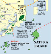 Medco Akuisisi PSC South Natuna Sea Block B - OG INDONESIA