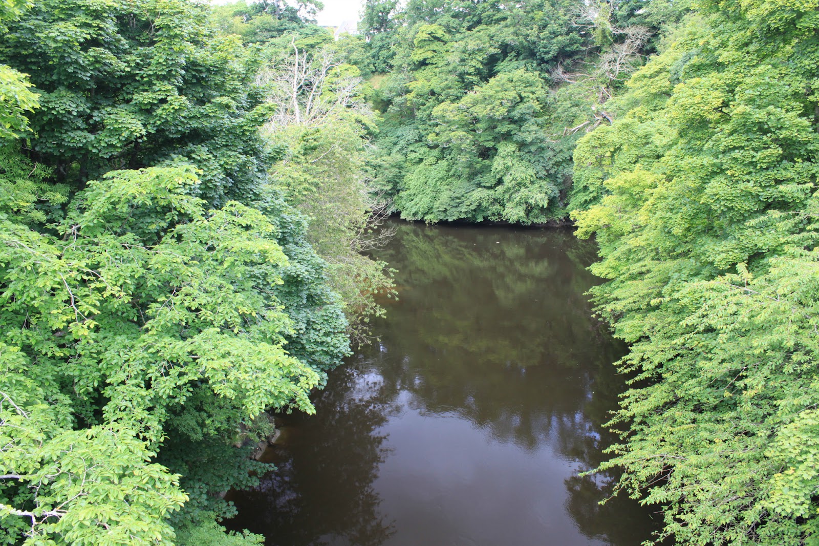Walking in the North East of Scotland: The Don from Persley Bridge to ...