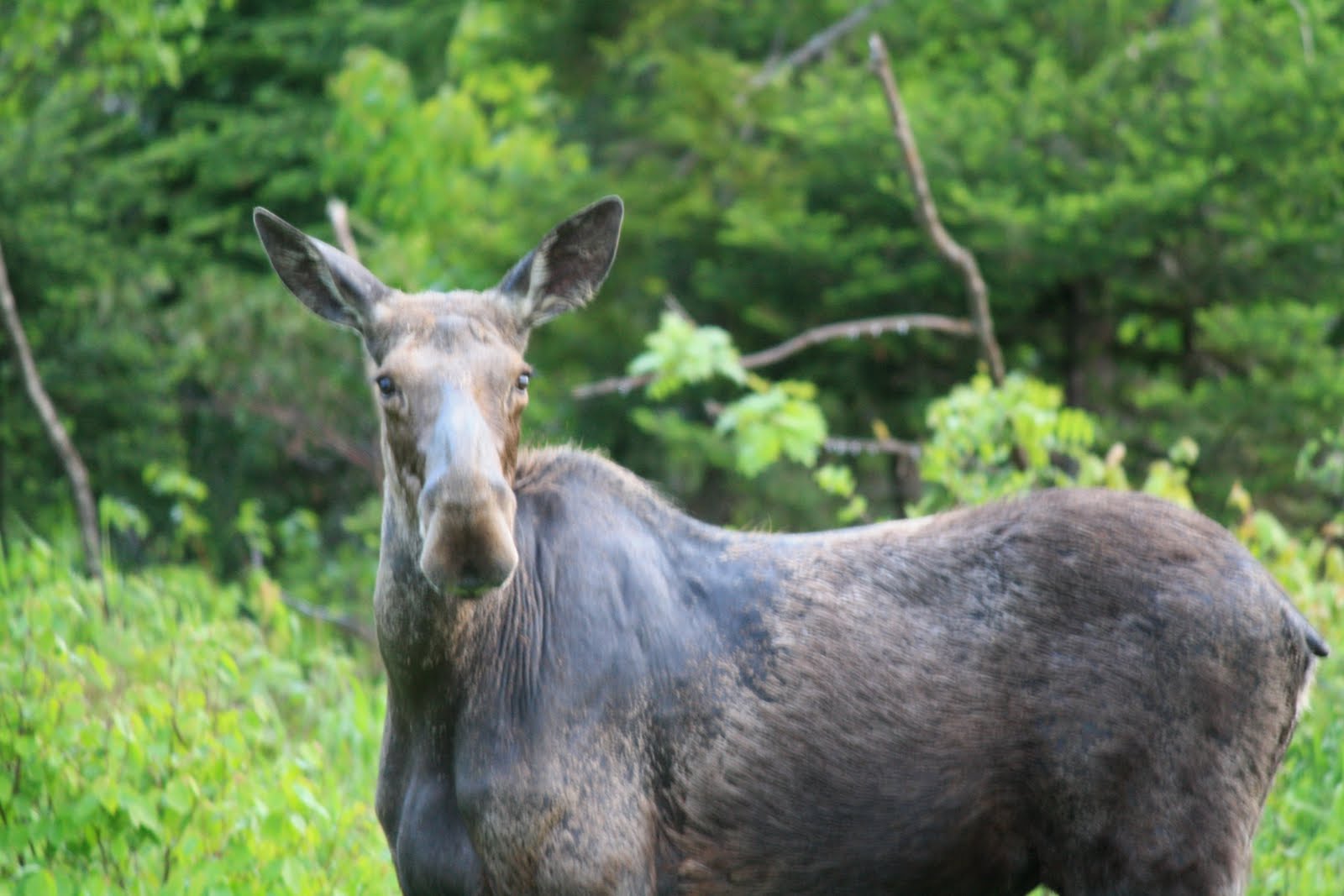 We had a good sized group - a wonderful family of 6 from Arizona, and a ...