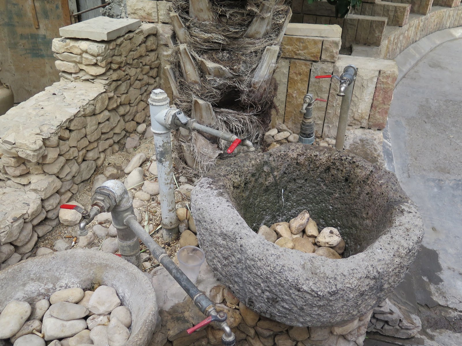 The Holyoaks in the Holy Land: Jericho