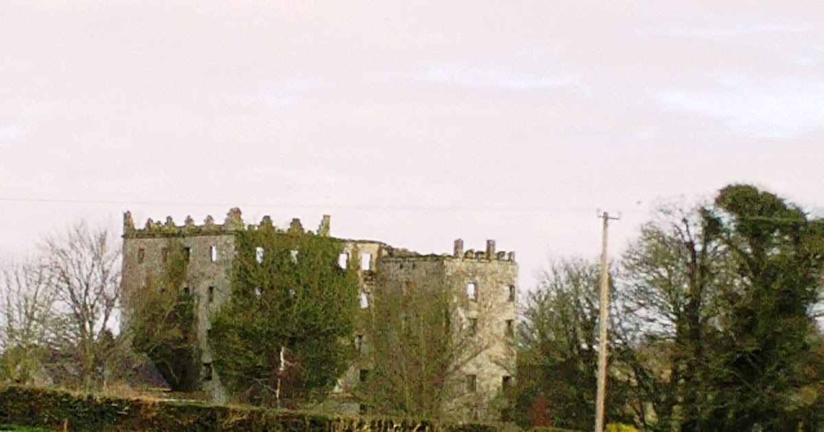 Ireland In Ruins: Ballitore Mill Co Kildare