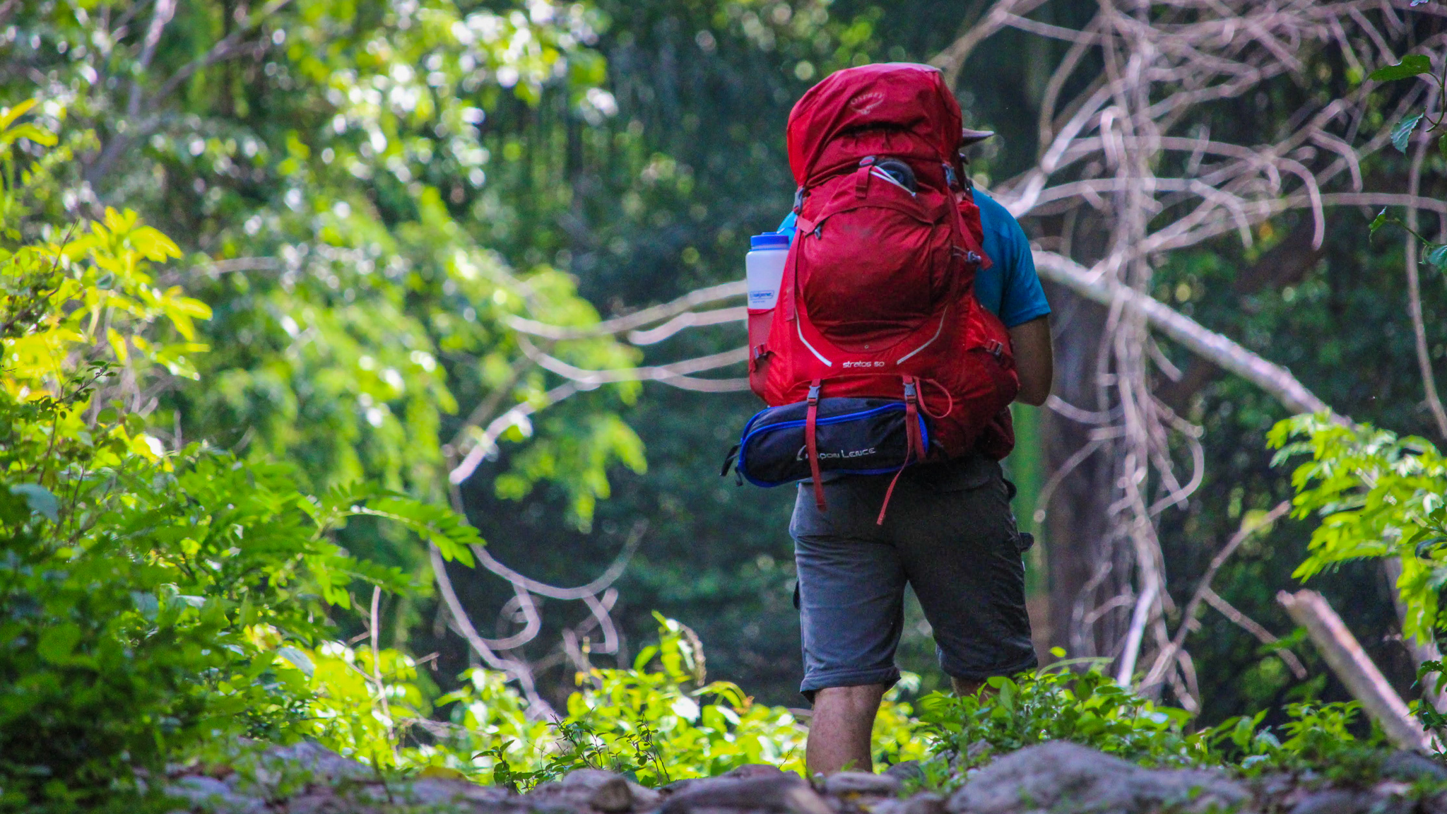Los 10 equipos esenciales para toda excursión