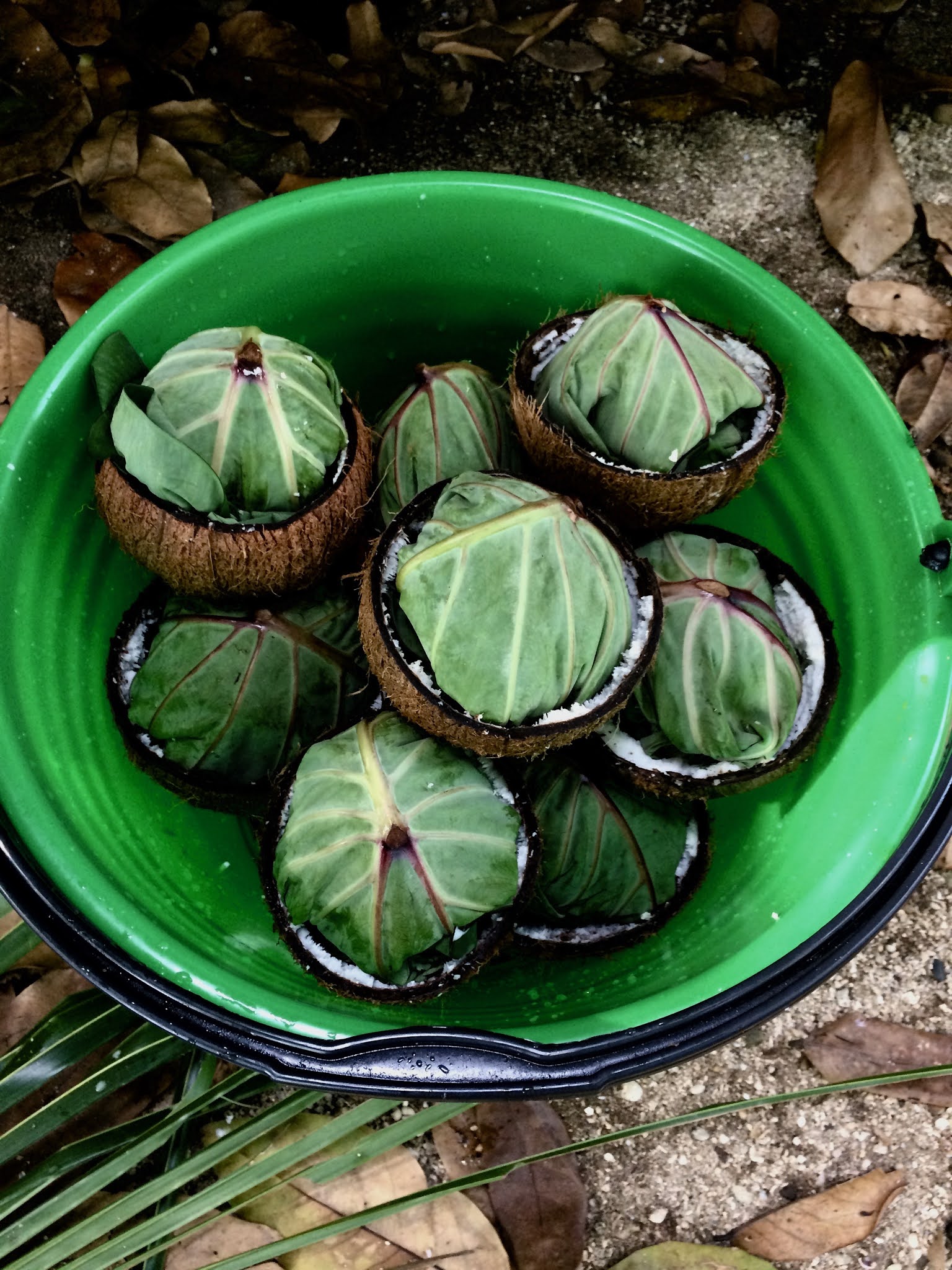 Fiji: Wild Fern Salad, Lime-cooked Mahi Mahi, Palusami Taro Parcels ...