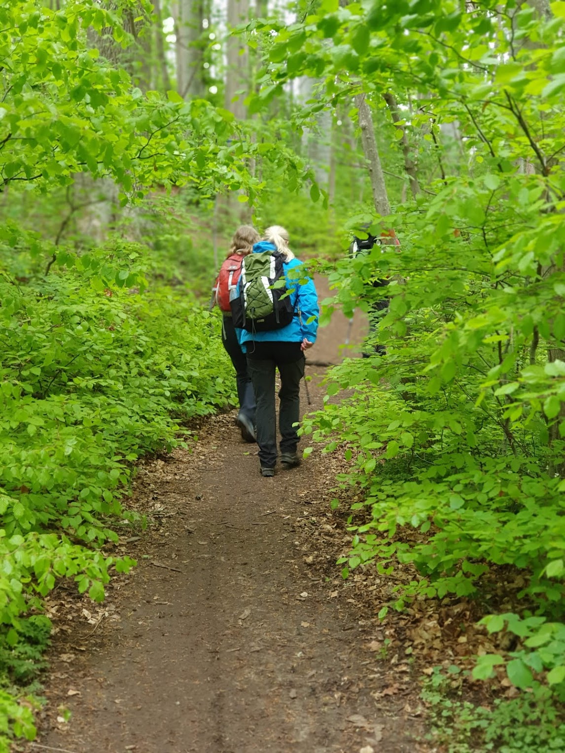 Team Vildmark: Vandring Omberg runt