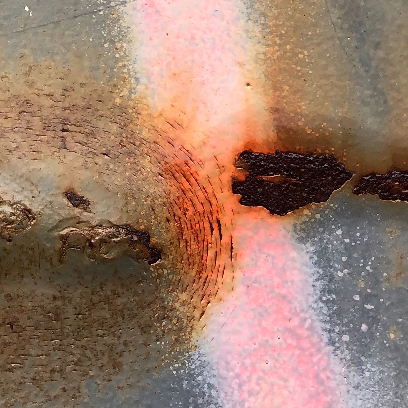 jean larson photography