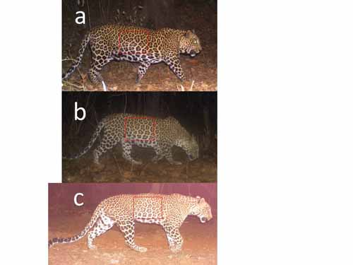 Parikshit Suryavanshi: 2015