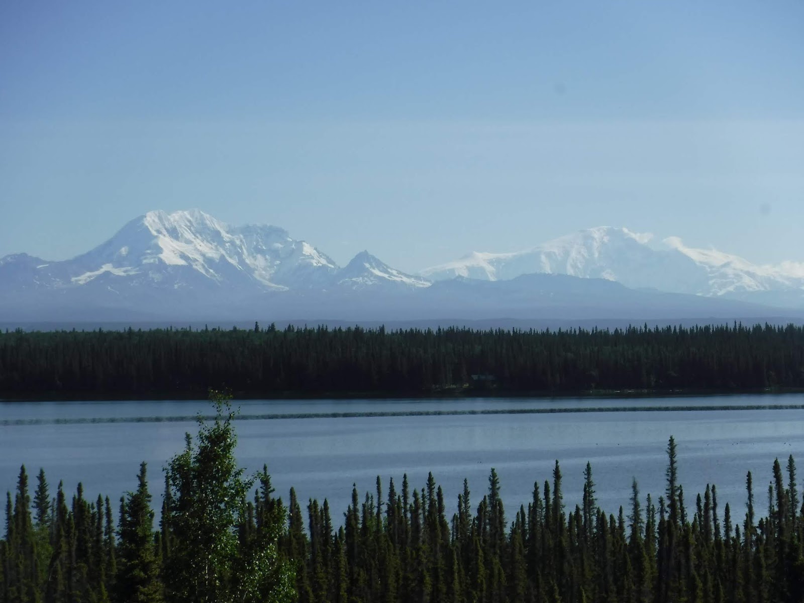 Dave'n'Kathy's Vagabond Blog: Invasion of the Salmon Snatchers!