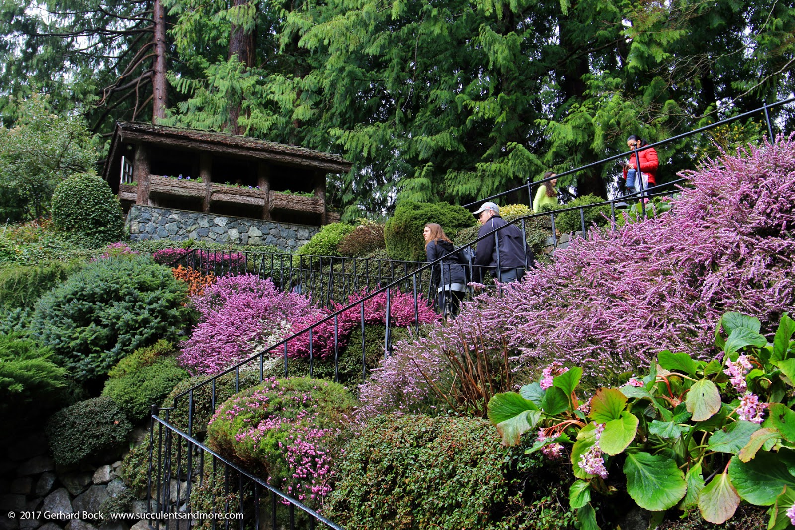 Butchart Gardens on the cusp of spring