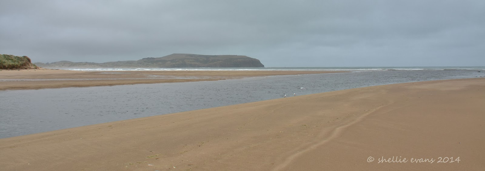 Two Go Tiki Touring: January 2014