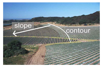 Contour Bunding Soil Conservation