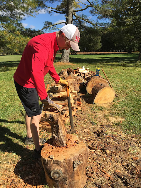 An Old Farm: Splitting Siberian Elms