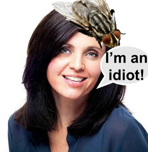 The King of Rochester: The Huge Fly that Landed on Deanna King's Noggin