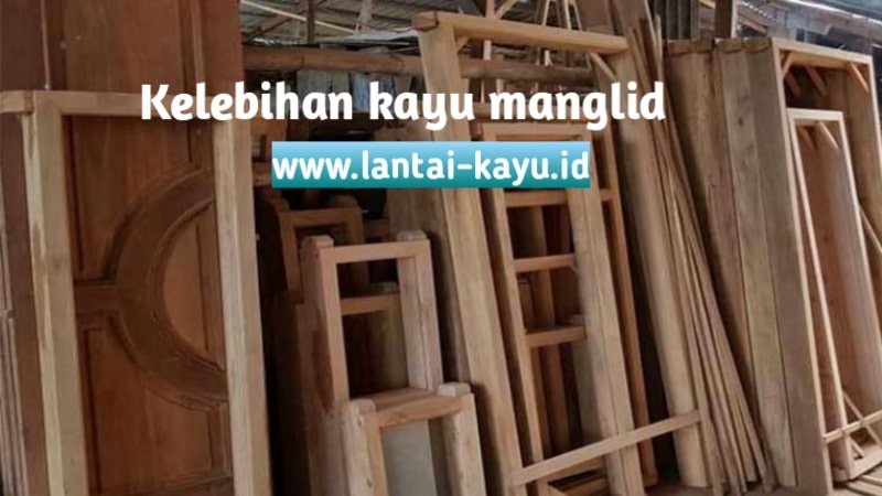 Review kayu manglid secara lengkap - Lantai kayu indonesia