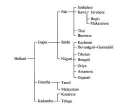 Glyphika: Brahmi Grantha Script Family and Cross Graftings