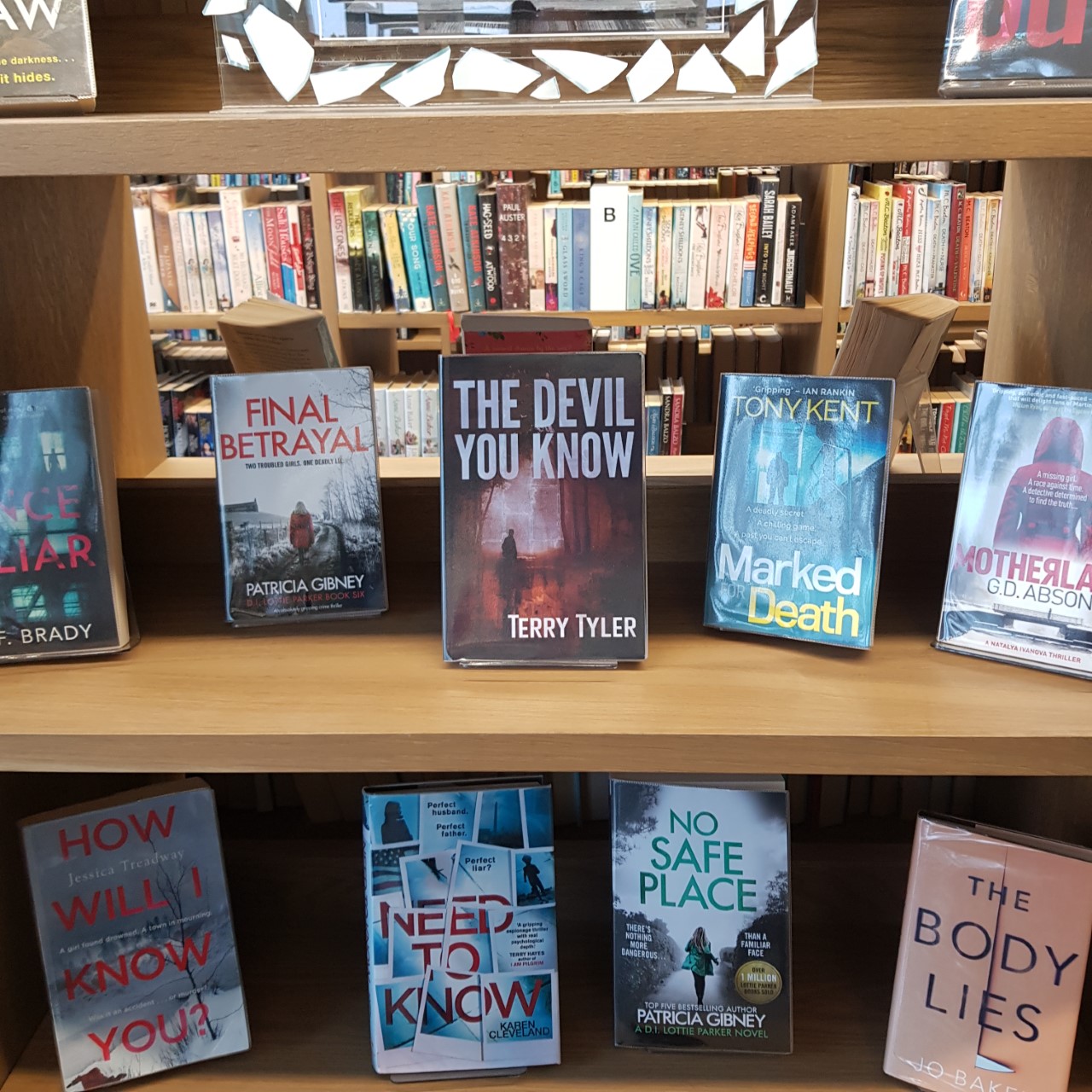 Terry Tyler: Before I started this self-publishing thing I used to....