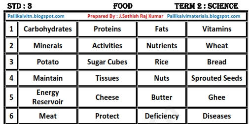 3rd - Term 2 - Science - Word Wall - Unit 1 - Food - Pallikalvi ...