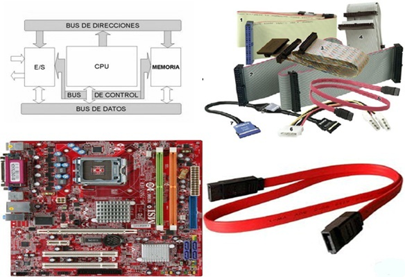 ARQUITECTURA DE COMPUTADORAS: BUSES