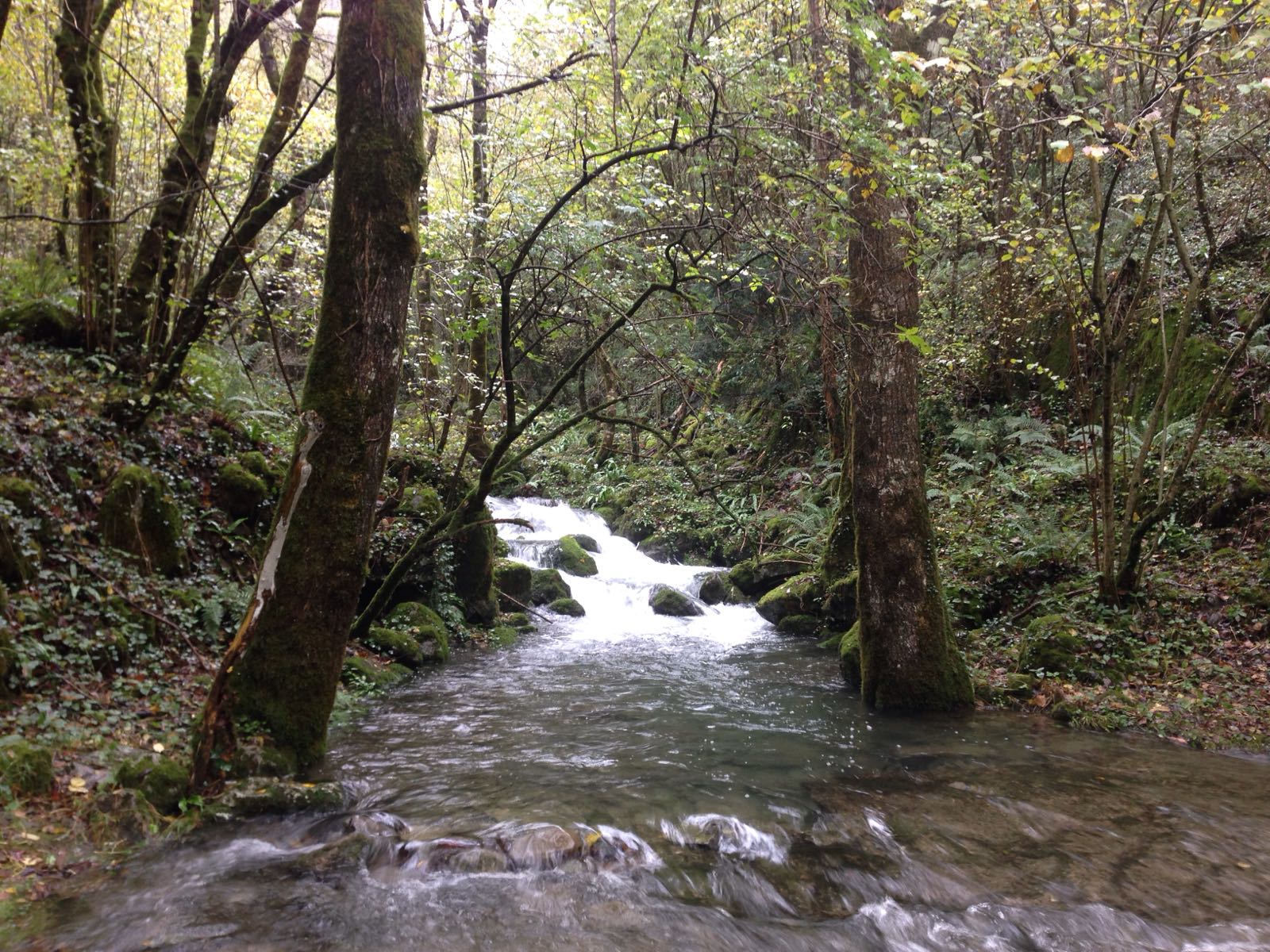 Atzegi Mendian: Zaldibia - Osinberde - Ausoegi. 13 noviembre 2016 ...