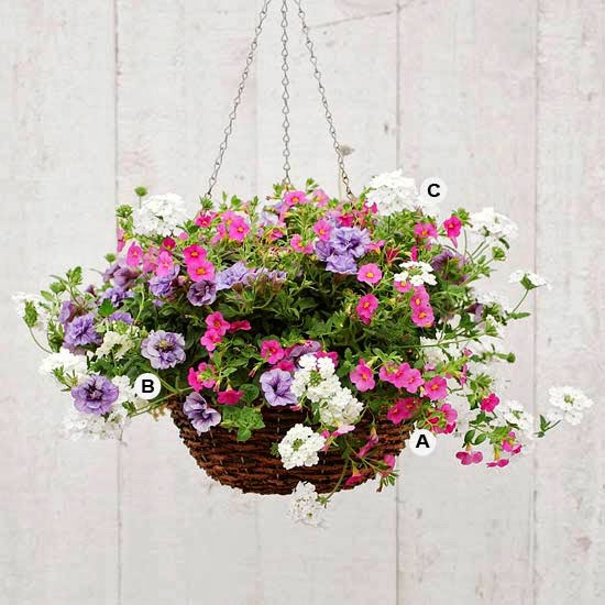 New Home Interior Design: Create Stunning Hanging Baskets