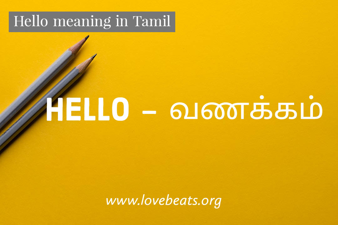 Hello Meaning In Hindi Tamil Telugu Kannada English Bengali And hello-meaning-in-hindi-tamil-telugu-kannada-english-bengali-and