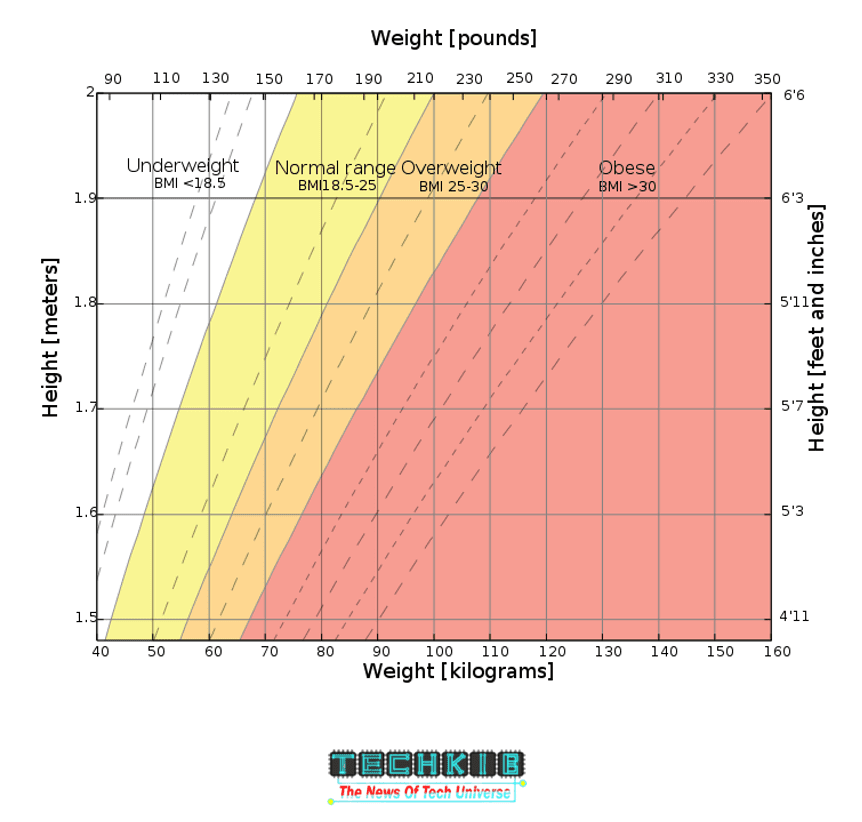 BMI Calculator With Source Code HTML CSS And JavaScript 