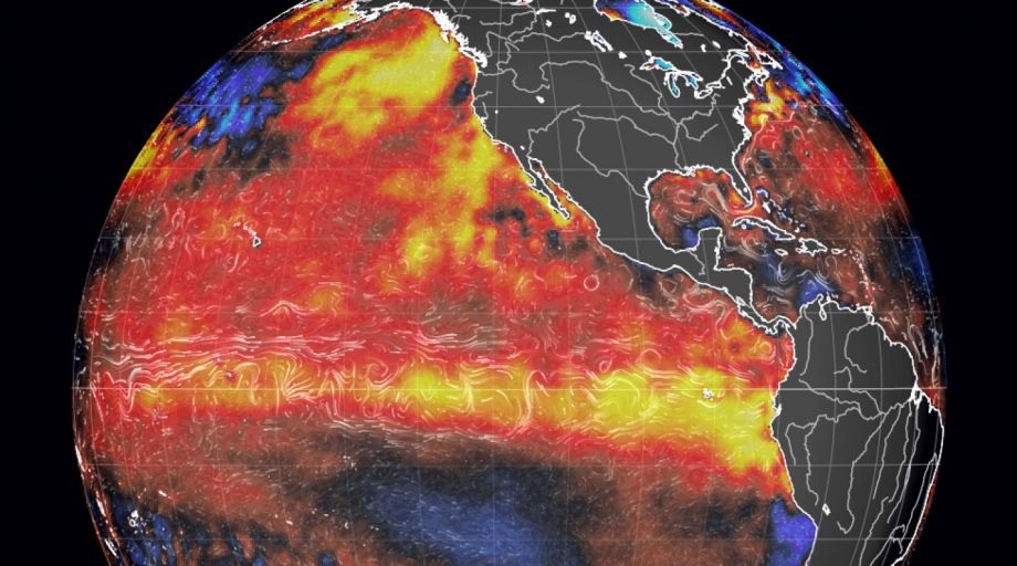 A Bowl of Noodles©: Can We Really Count on THE KID?