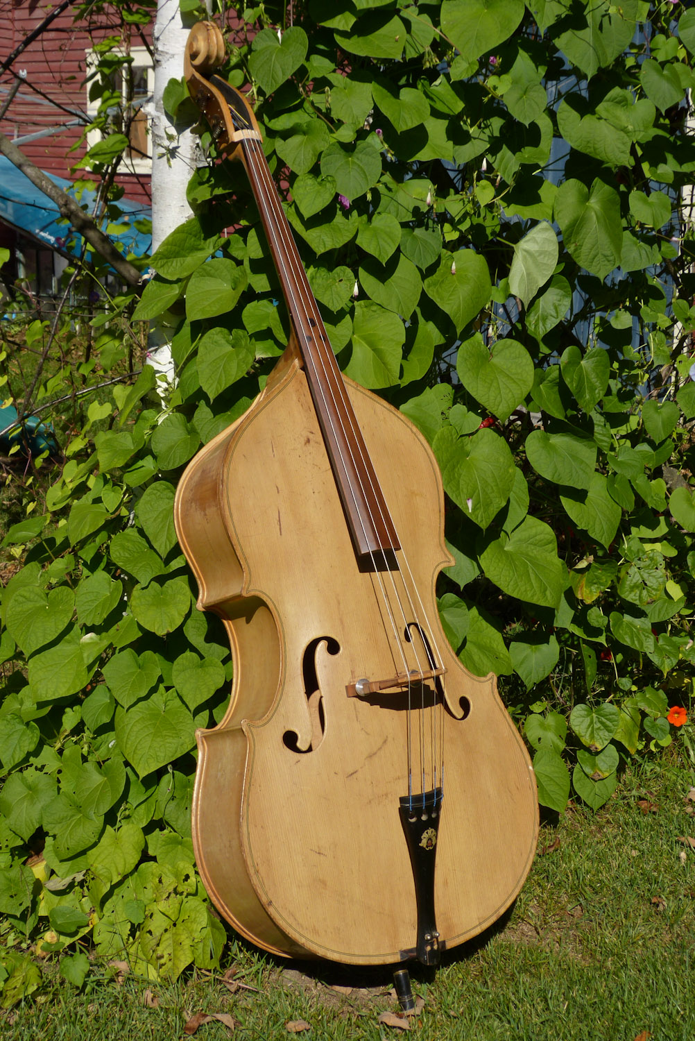 1959 King Mortone Upright Bass 1959-king-mortone-upright-bass