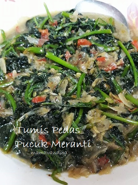 Resepi Tumis Pedas Pucuk Meranti - Resepi Masakan