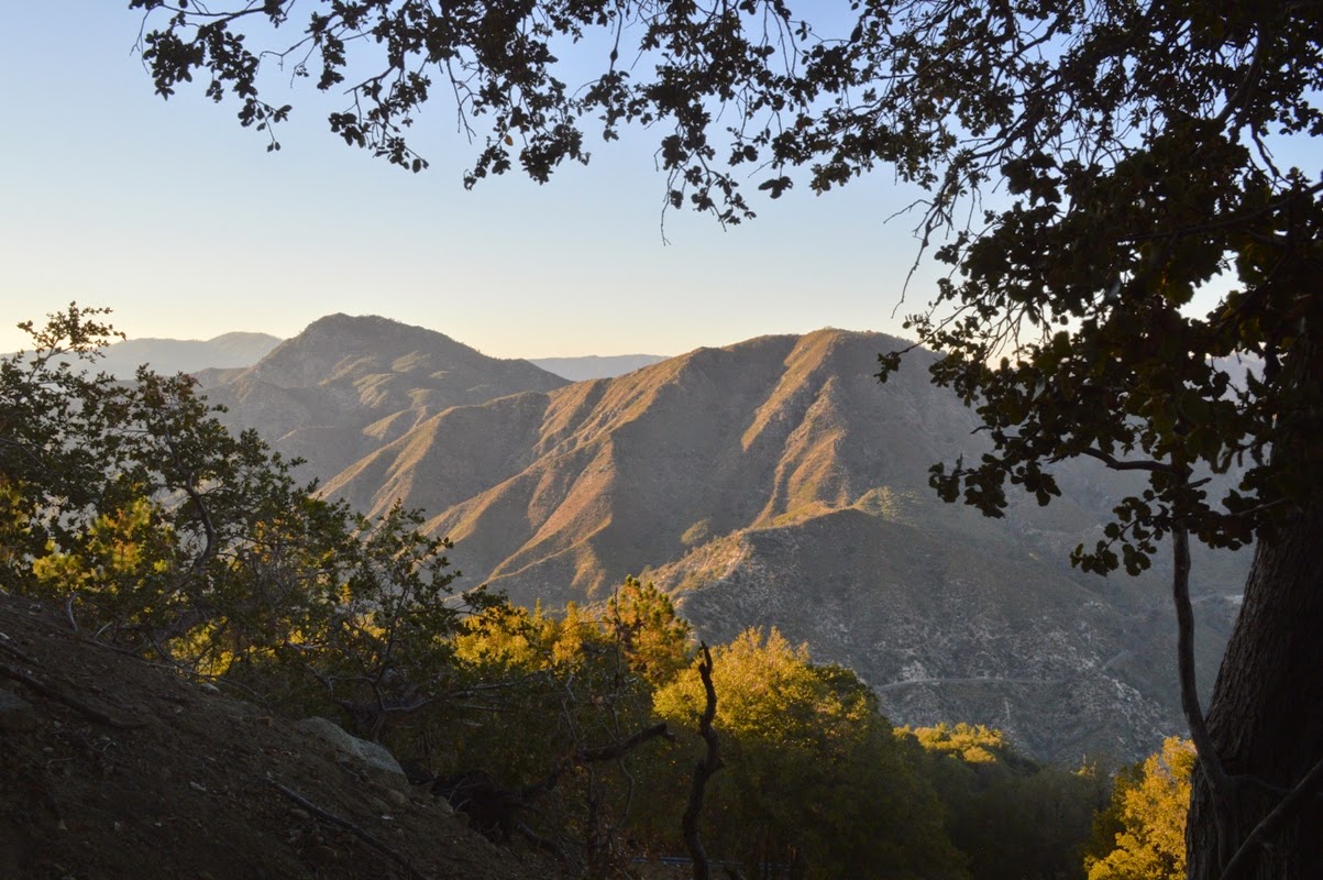 My Own 100 Hikes: Hike 2014.041 -- Red Box Junction to Mount Disappointment