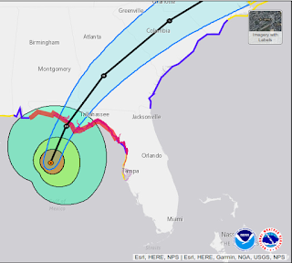 Avian Flu Diary: CAT 4 Hurricane Michael Headed For Landfall