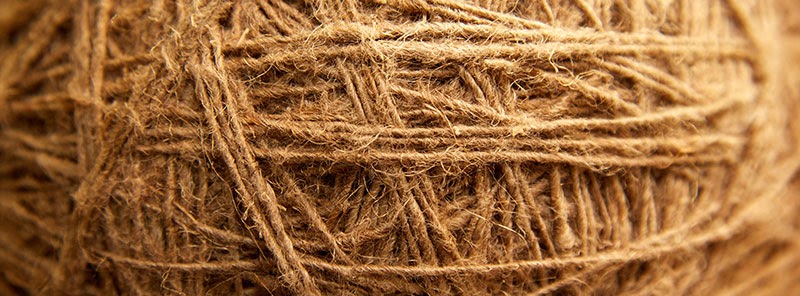 The Flaxen Cords of My Adversary