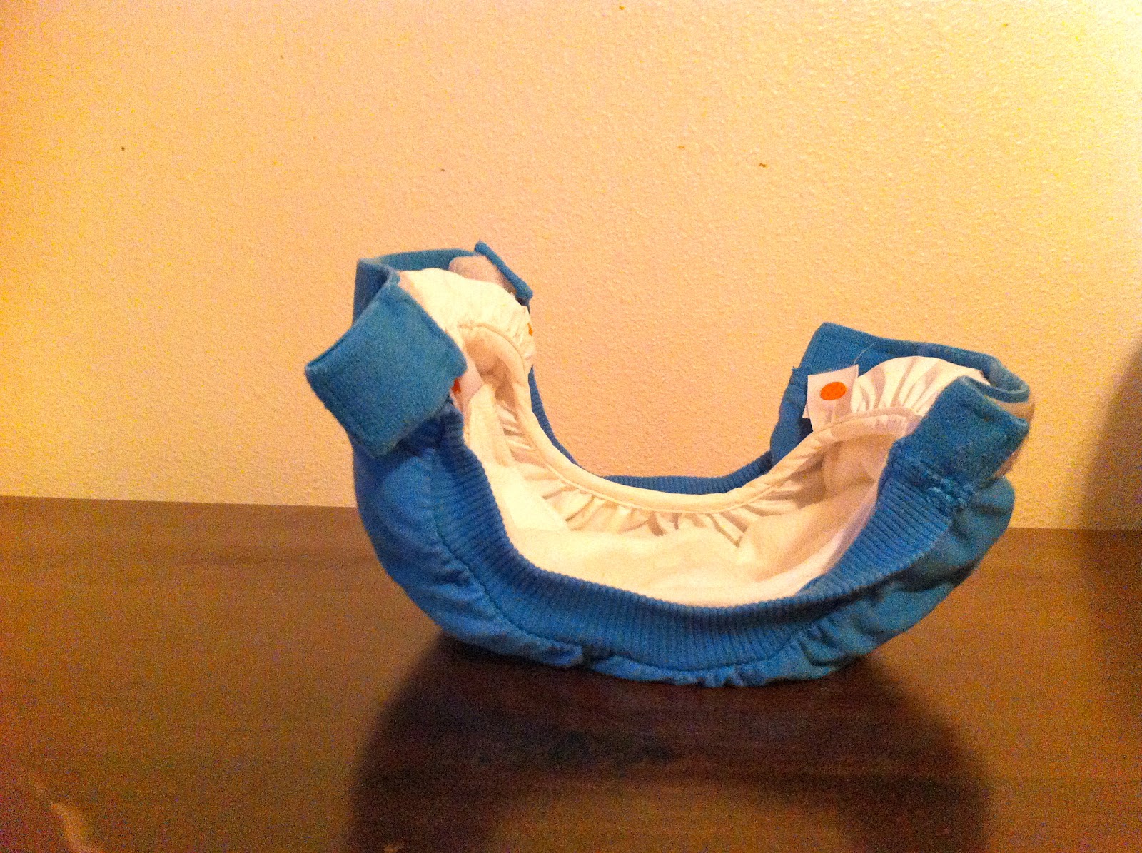 Bits and pieces of life as a family of five: gdiapers have won my ...