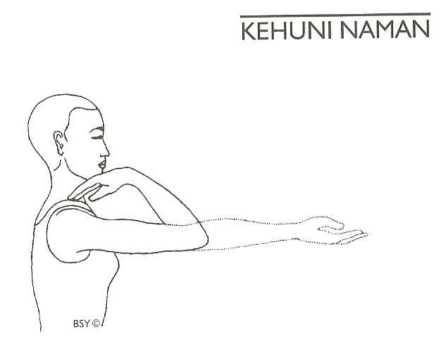 seek apropos: Essential Yoga Asanas