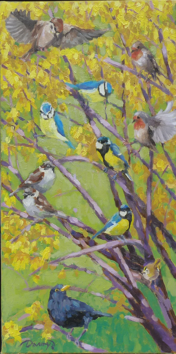 Fugle malerier af Danny Rasmussen