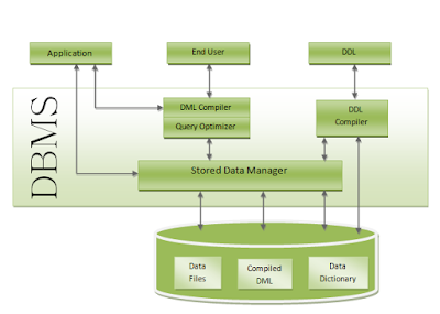 Chapter 2:-Database Structure ~ BCA Programming Notes