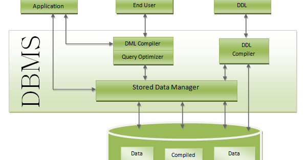 Chapter 2:-Database Structure ~ BCA Programming Notes
