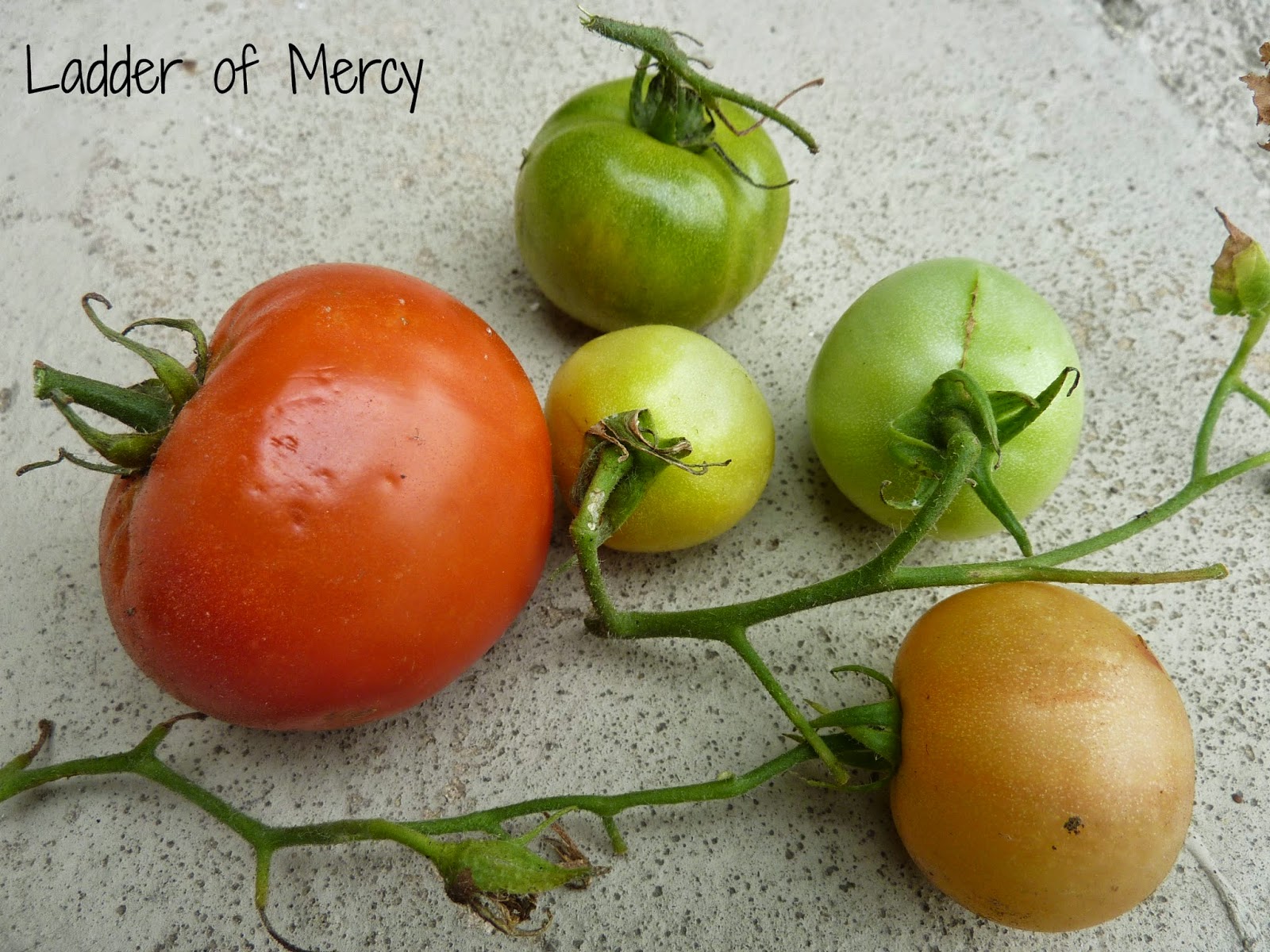Ladder of Mercy: Why We Prune