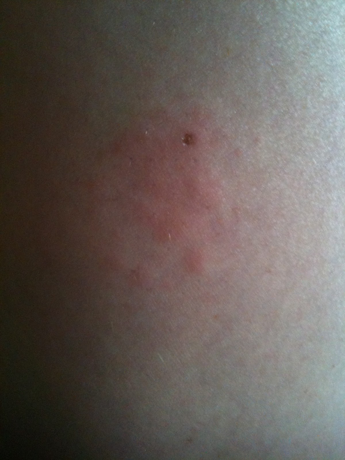 Love To Breathe: 2011