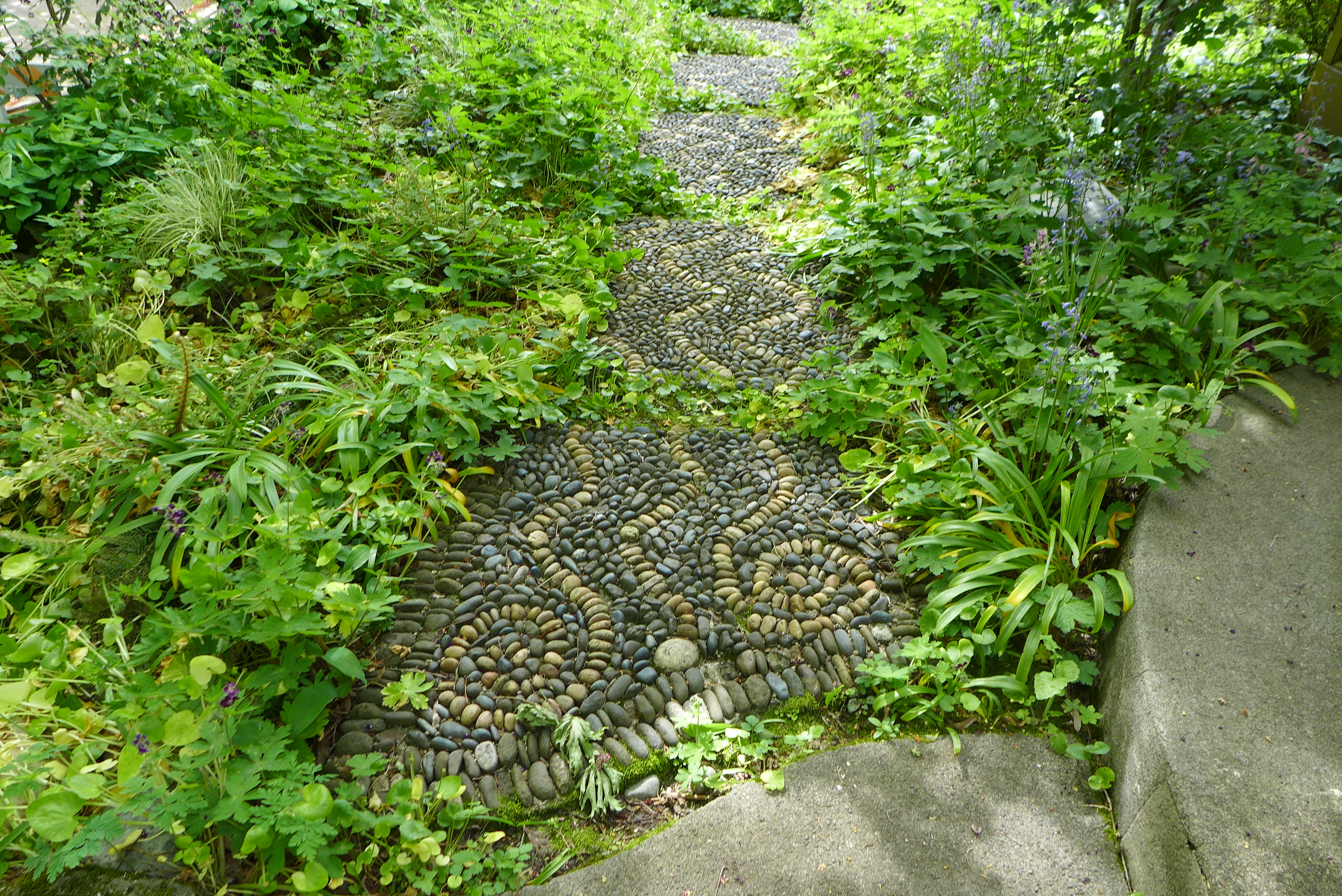 Jeffrey Bale's World of Gardens: Garden Paths, A journey