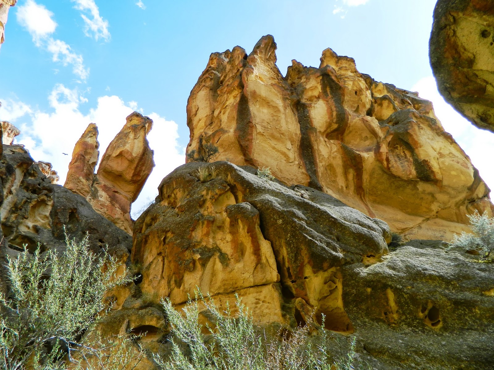 Living in Idaho: Juniper Gulch at Leslie Gulch Area