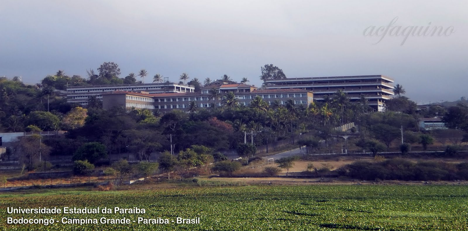 Campina Grande: UEPB - Universidade Estadual da Paraíba