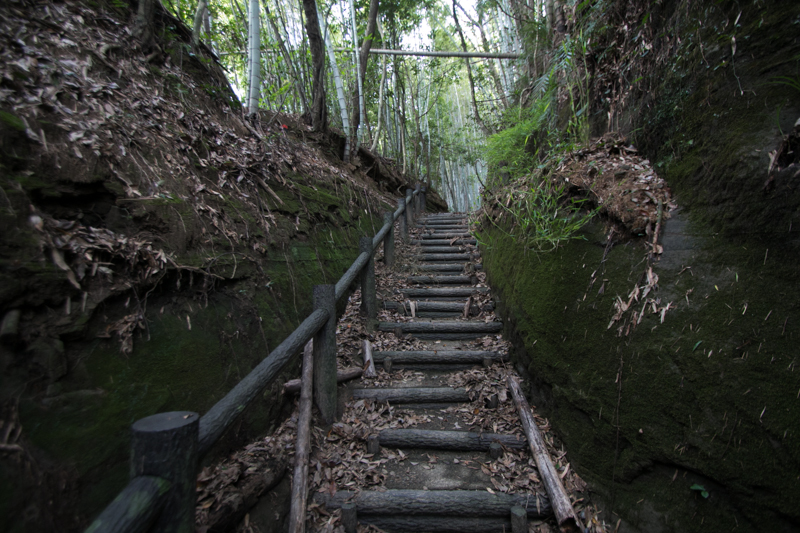 Japan Castle Explorer: Sadowara Castle -Two-sided castle of two-sided ...