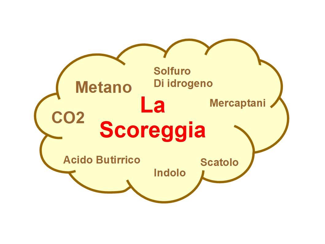 scorreggioni e loro classificazione ( parte 2 ° )