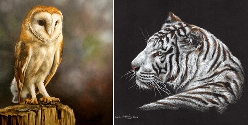 Design Stack: A Blog about Art, Design and Architecture: A Wildlife and ...