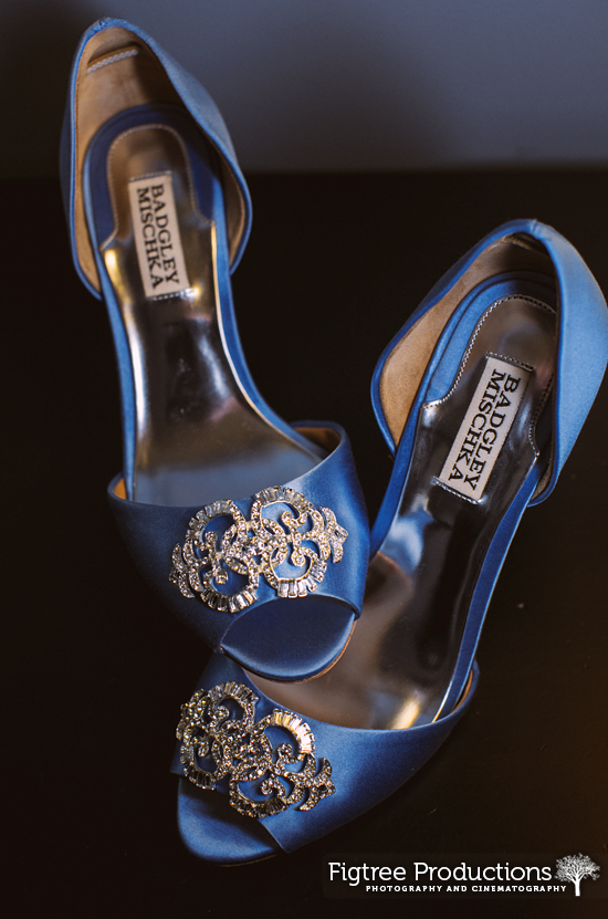 Figtree First Look: Stacy & Reno | Highlawn Pavilion