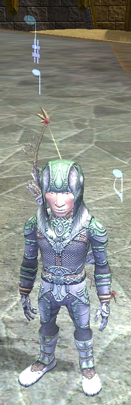 Inventory Full: Who'll Be Your Mercenary? : EverQuest II