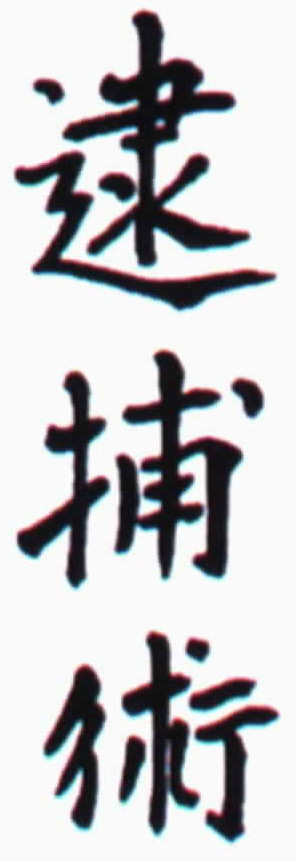 Budo Blog: Edo Machi-kata Taiho Jutsu